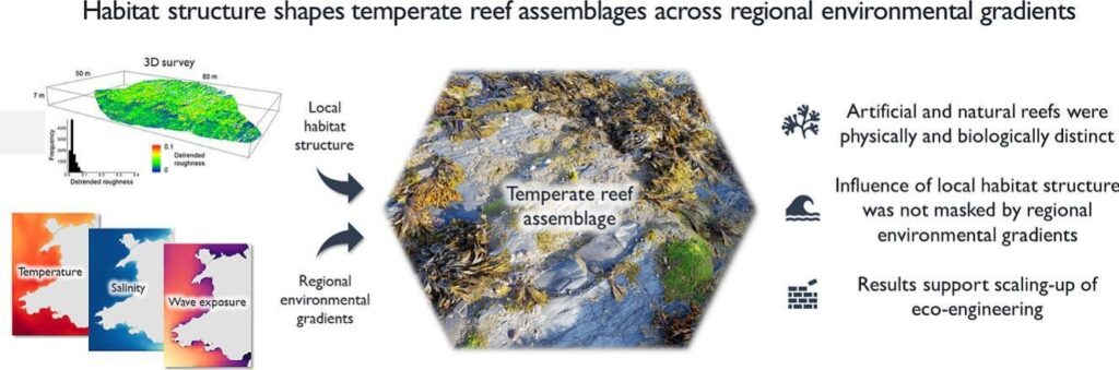 Habitat structure shapes temperate reef assemblages across regional ...